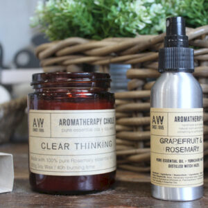 The World of Aromatherapy | Essential Oils & Burners